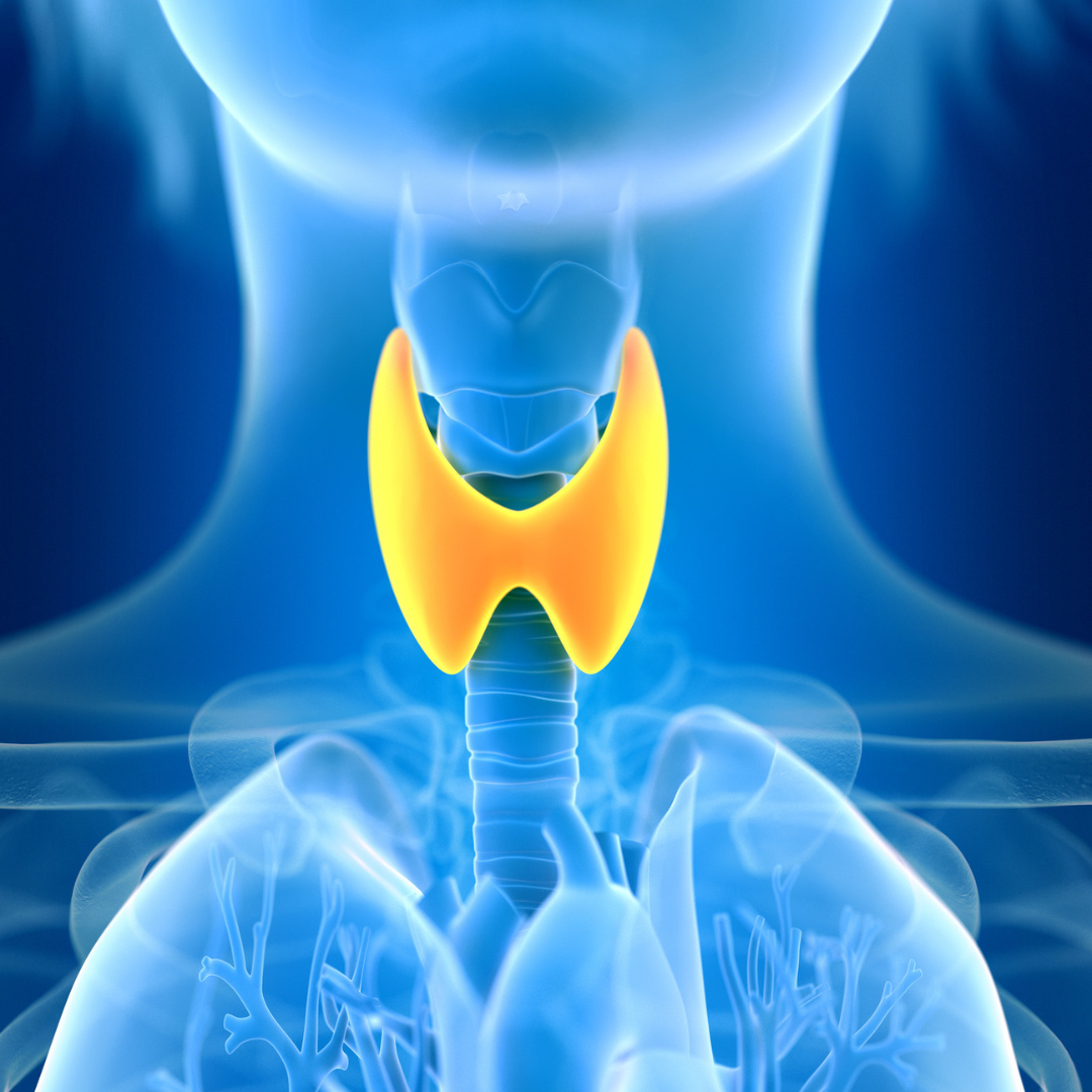 Thyroid disease and your skin - AdvancedSkinMD.com